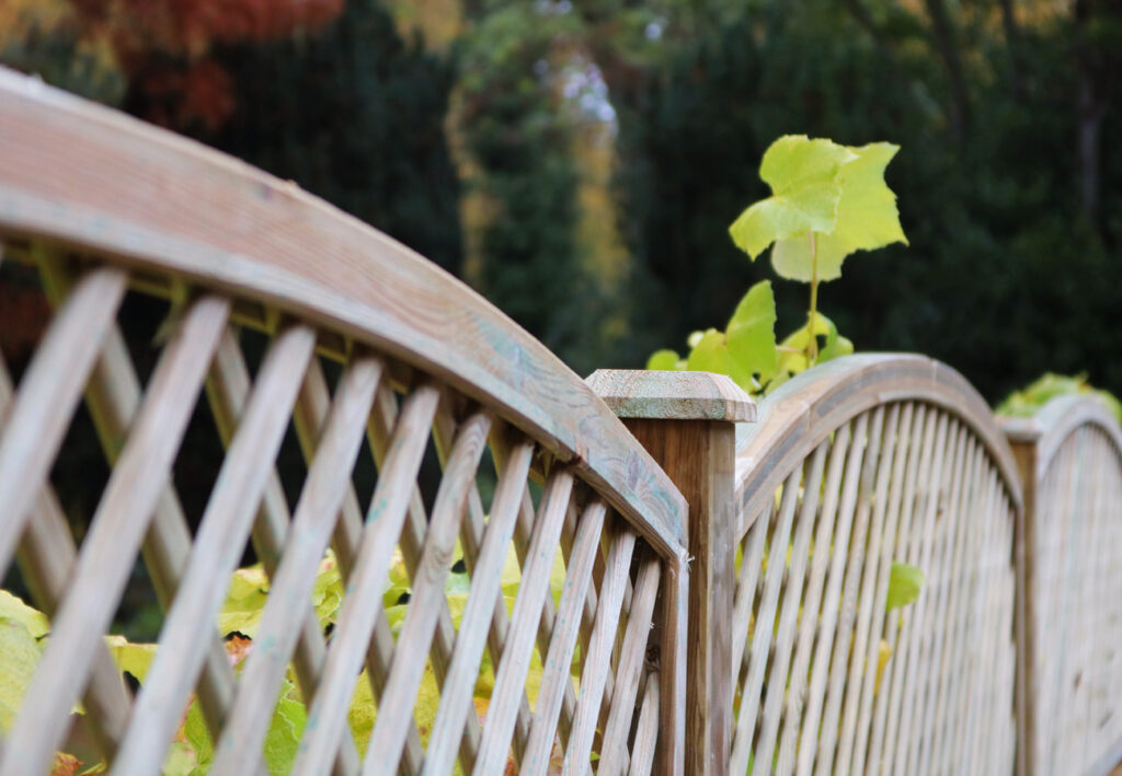 Diagonal Trellis Convex Arched Topper Panel - The Garden Trellis Company