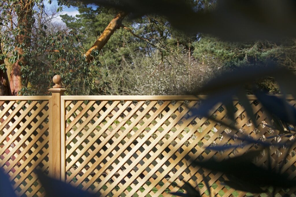 RHS Prestige Diagonal Trellis (38mm gap) - The Garden Trellis Company