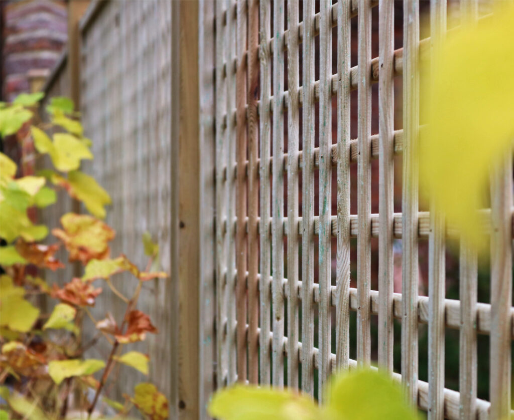 Square Trellis Panel - The Garden Trellis Company