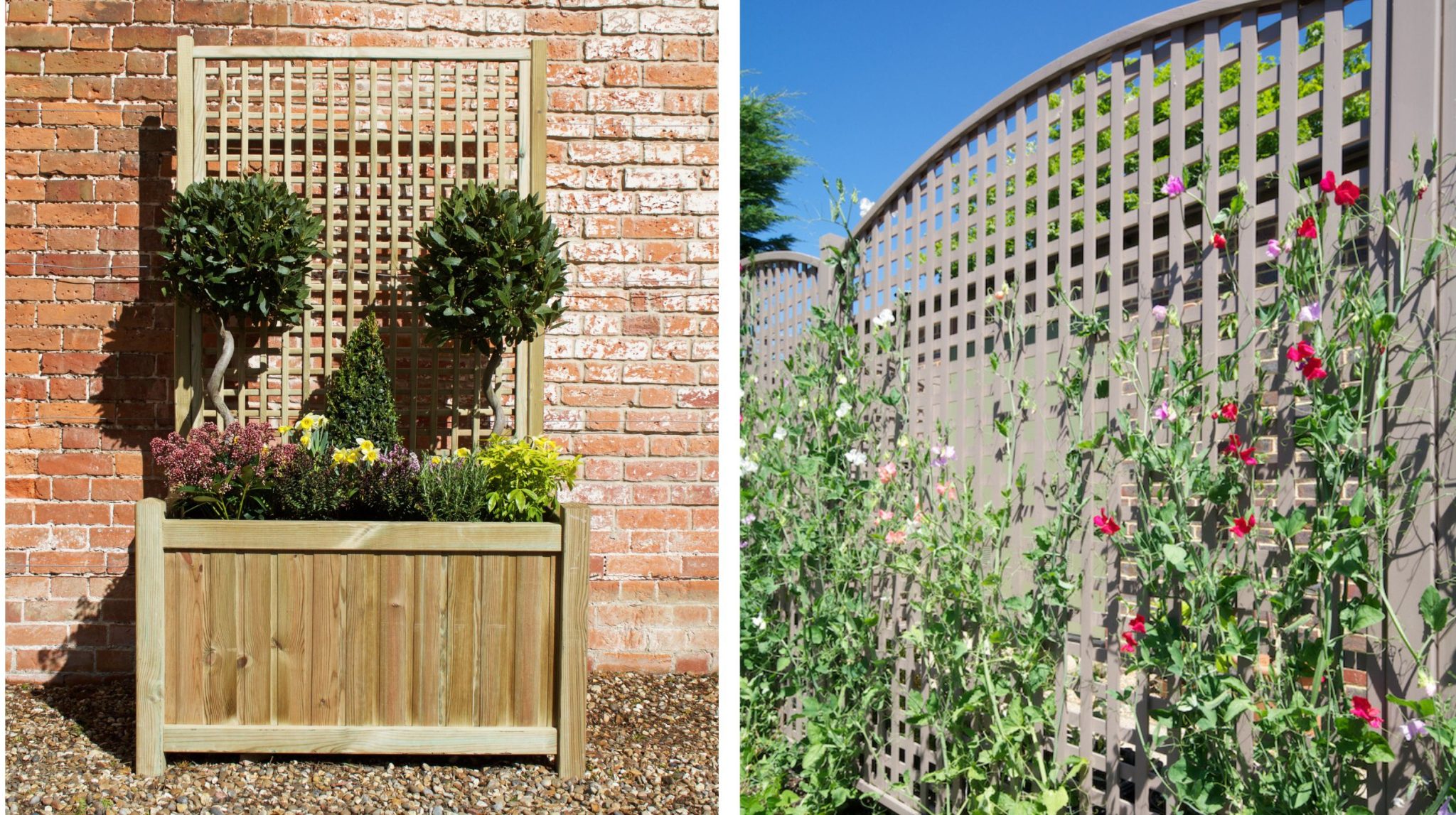 How to choose the right trellis panel for your garden style - The ...
